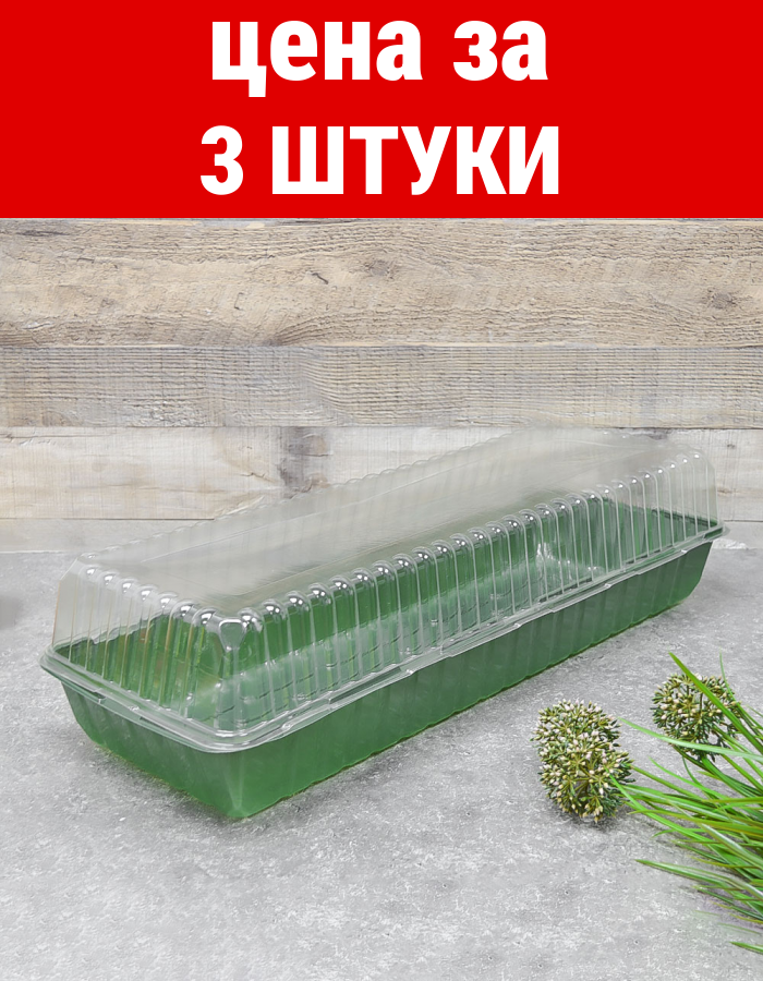 Комплект 3 шт, Парник для рассады 4 места, 58*19*6.5см