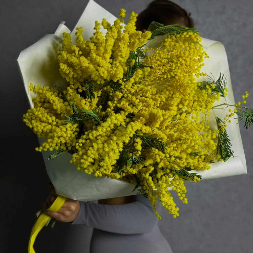 Мимоза/ Букет Мимоз из 15 штук/ Желтая Мимоза/ Цветы к 8 марта/ Доставка цветов по Москве