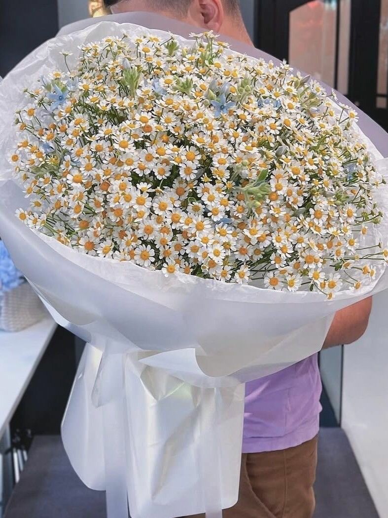 Букет из ромашек и незабудок