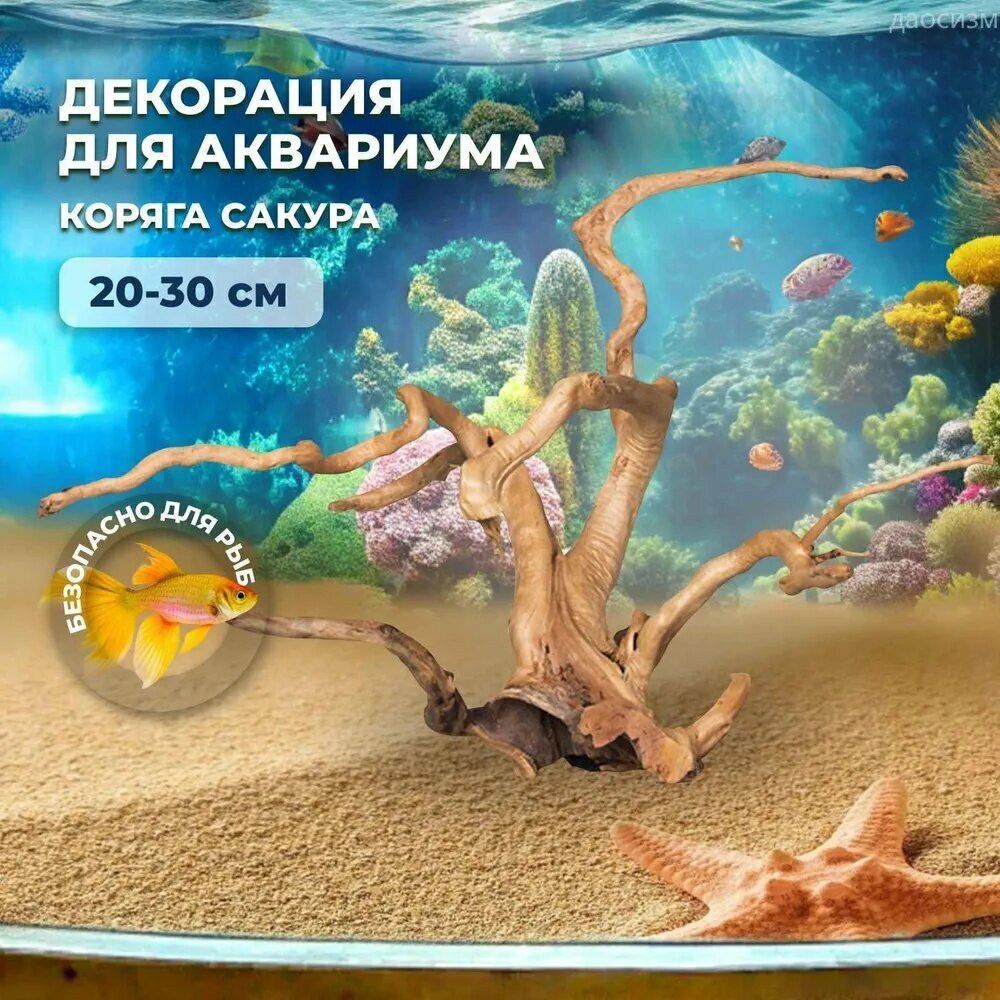 Декорация природная PRIME Коряга Сакура S 20-30 см
