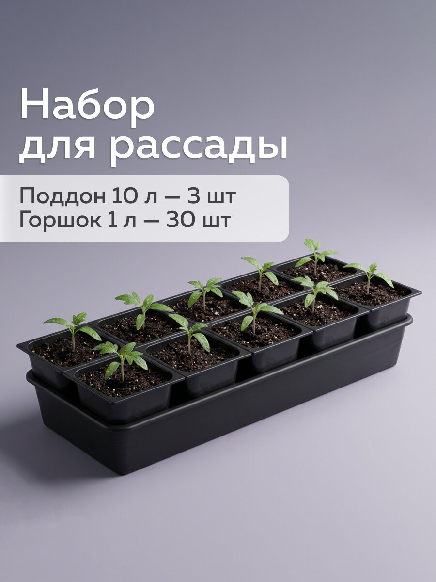 Набор для рассады «Агроном» с поддоном, Альт-Пласт, пластик, чёрный, 1л (30шт), поддон 10л (3шт)