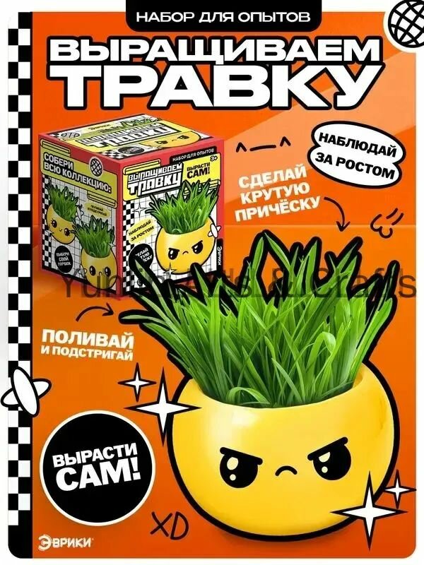 Опыты и эксперименты для детей, "Смайлики. Выращиваем травку", детский набор для выращивания растений