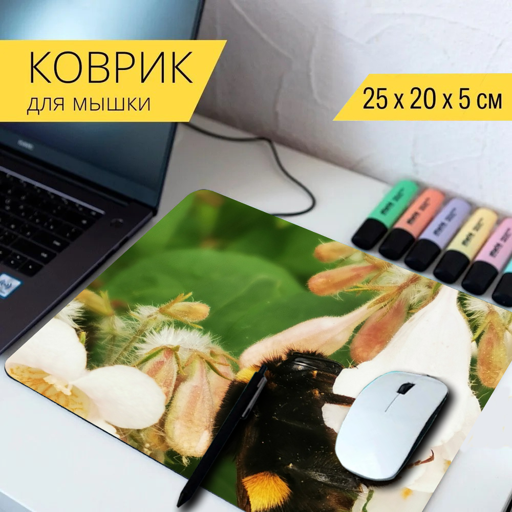 Коврик для мыши с принтом "Пчела, шмель, насекомое" 25x20см.