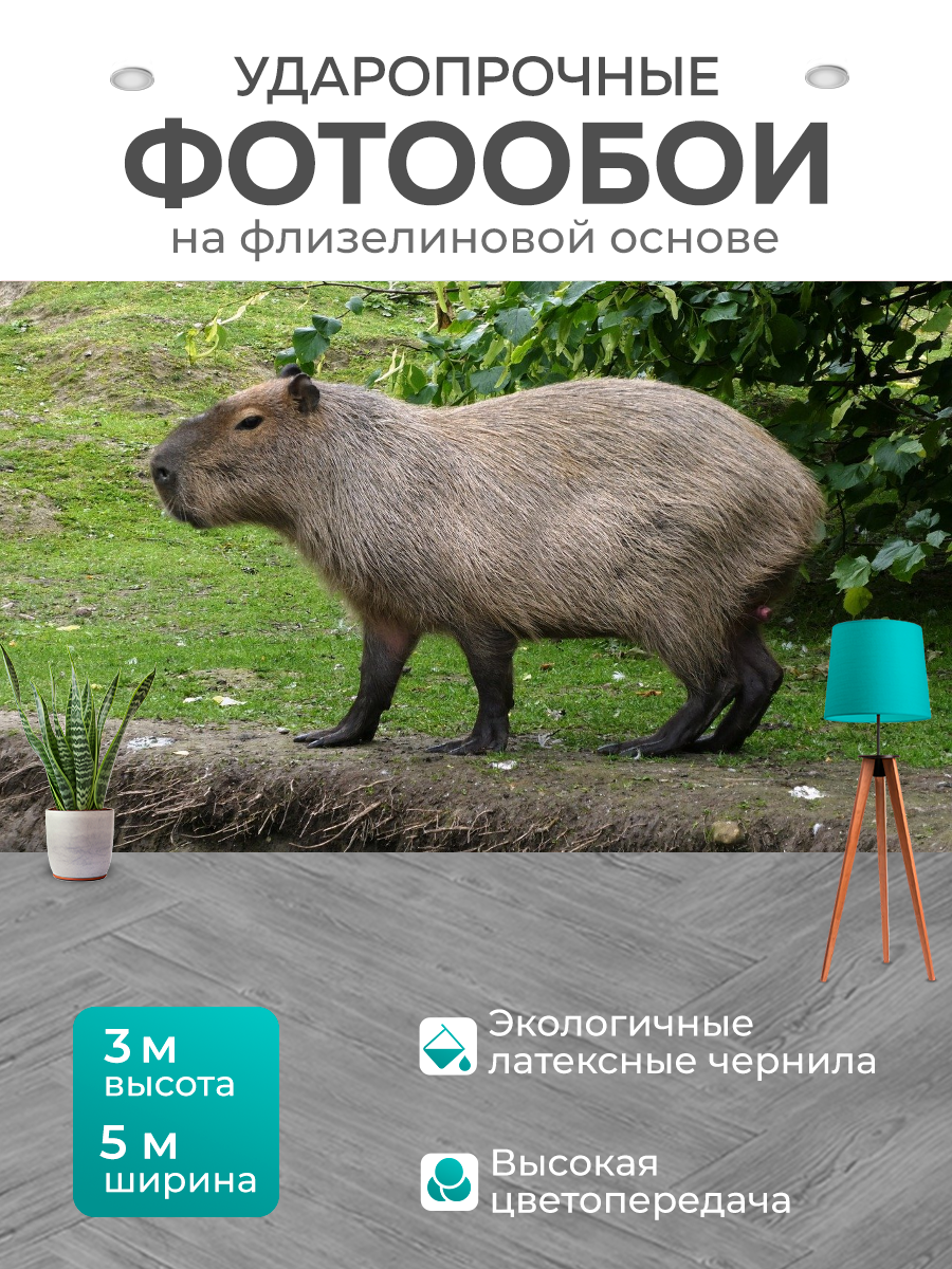 Фотообои моющиеся ударопрочные "Капибара, faunapark, парк животных" 500x300 см. флизелиновые на стену