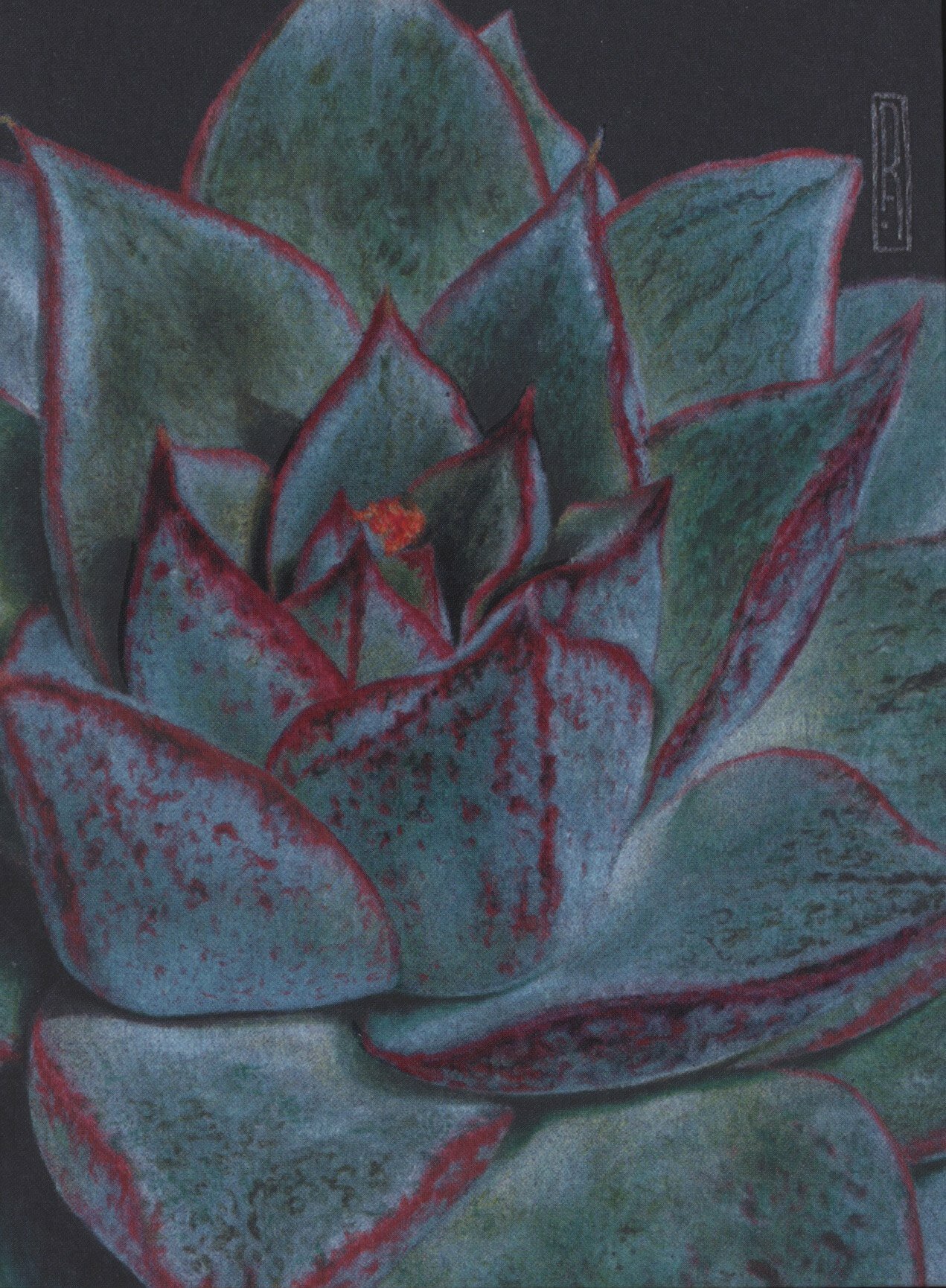 Записная книжка А6 80л кл. "Succulent (Эксклюзив)" инт. переплет, soft-touch, офсет