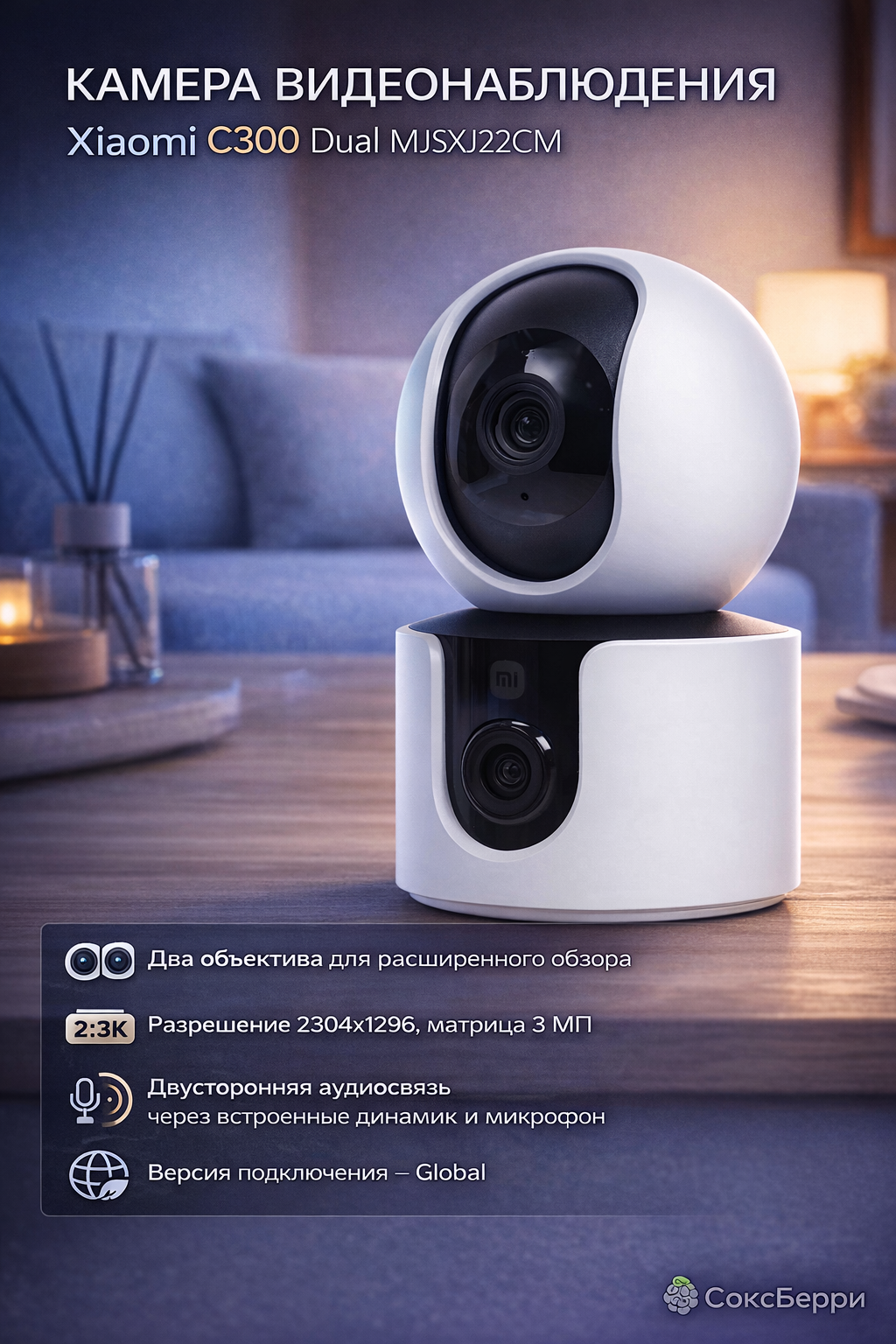 Умная камера Xiaomi Mi Smart Camera C300 Dual (MJSXJ22CM) (EU)