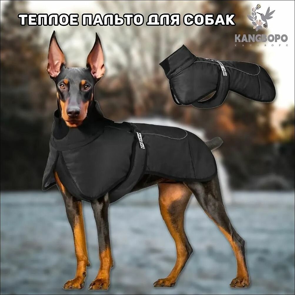 Одежда для животных/попона теплая для собак, Унисекс,3XL, синий