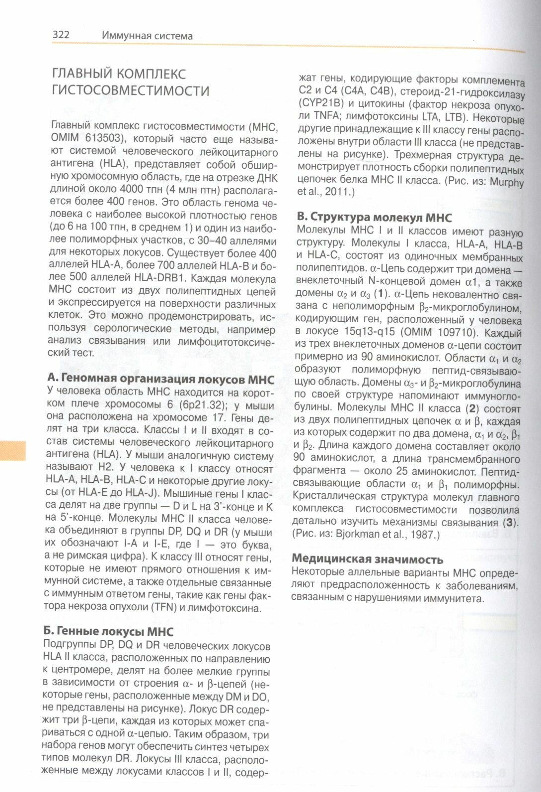 Наглядная генетика — фото 1