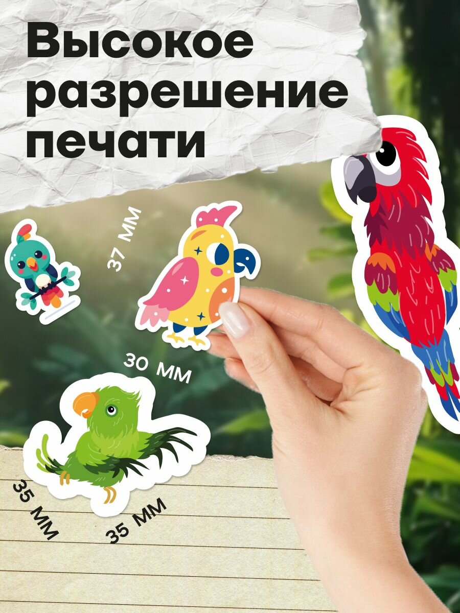 Наклейки попугаи, виниловые, для творчества, детские, 75 штук — фото 1