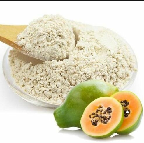 500 г Папайя протеаза / Papaya Enzymes, энзимная активность 200 000 u / g