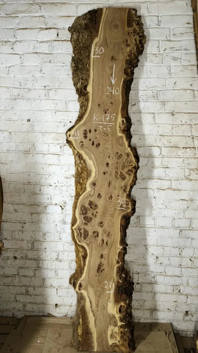 Красивый каповый слэб дерева Карагач К175, выровнен в плоскости.