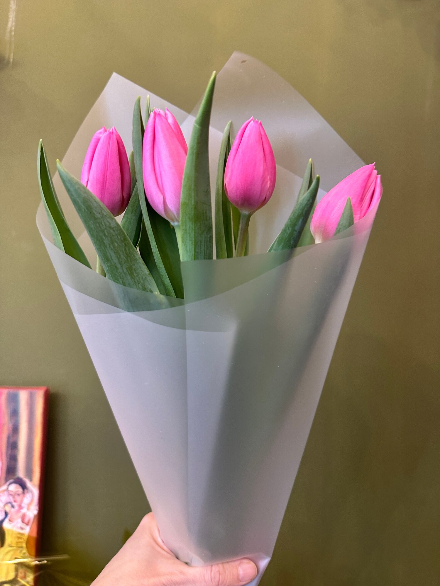 Тюльпаны в букете 5 шт в матовой пленке