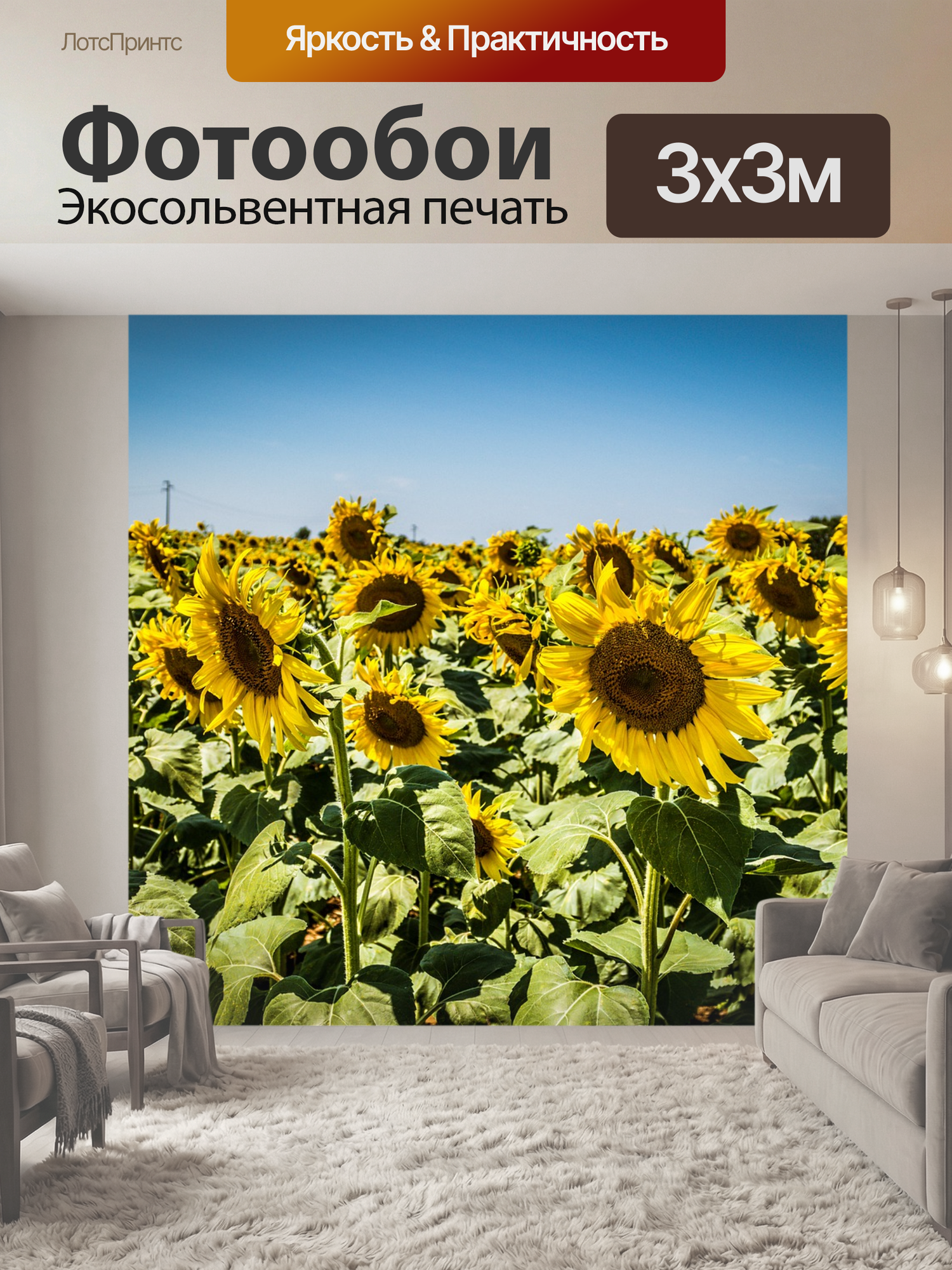 Фотообои "Подсолнухи, цветы, подсолнечник" 300x300 см. экосольвентная печать