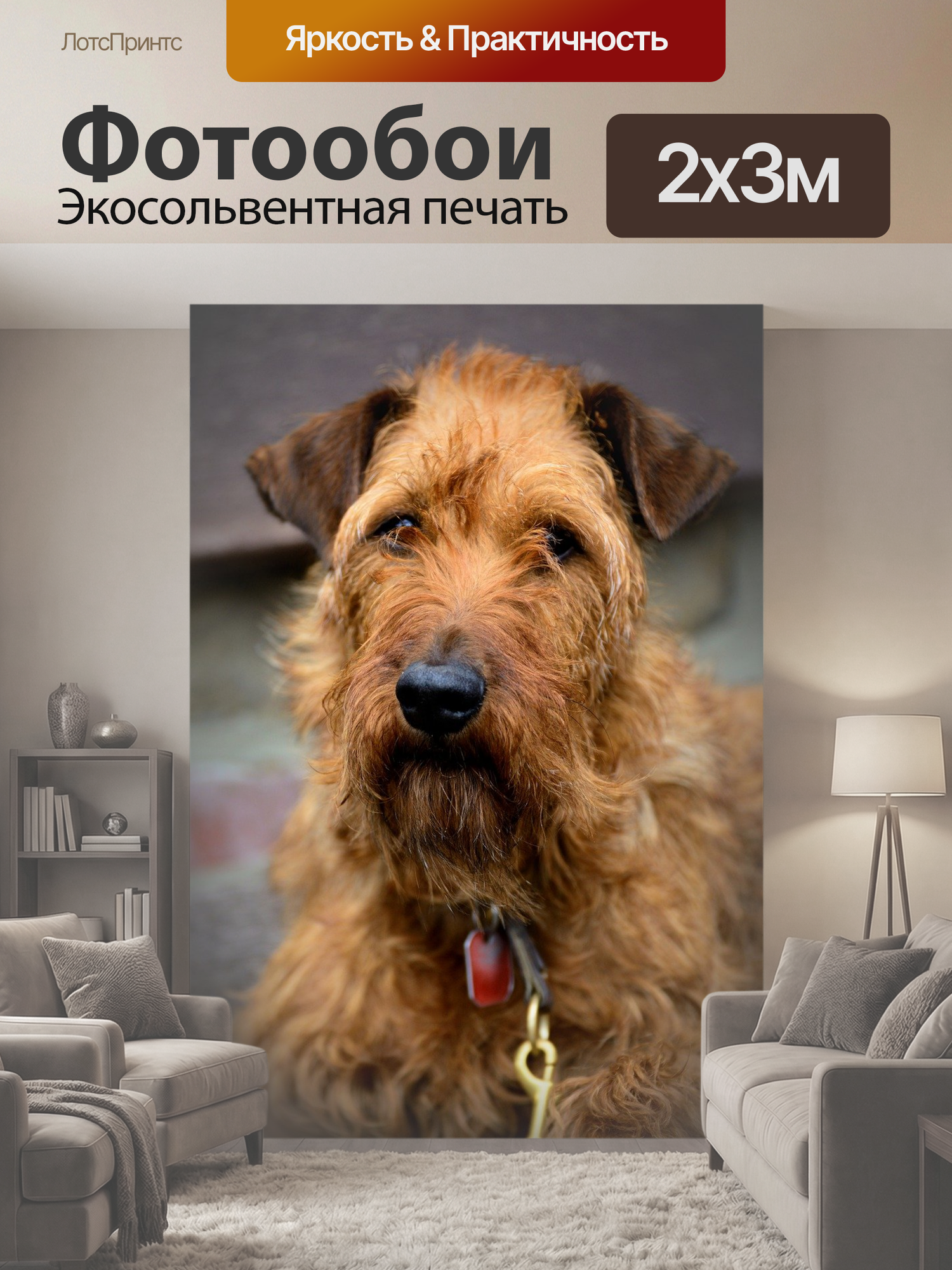 Фотообои "Ирландский терьер, терьер, собака" 200x300 см. экосольвентная печать