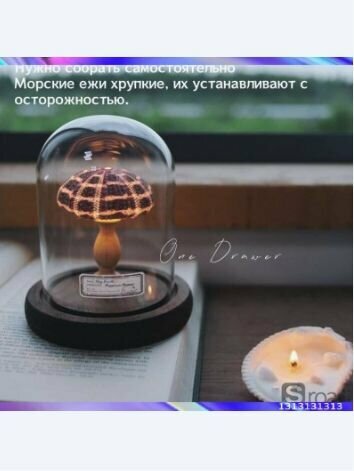 Эксклюзивный ночник морской еж в раковине, презент для друзей