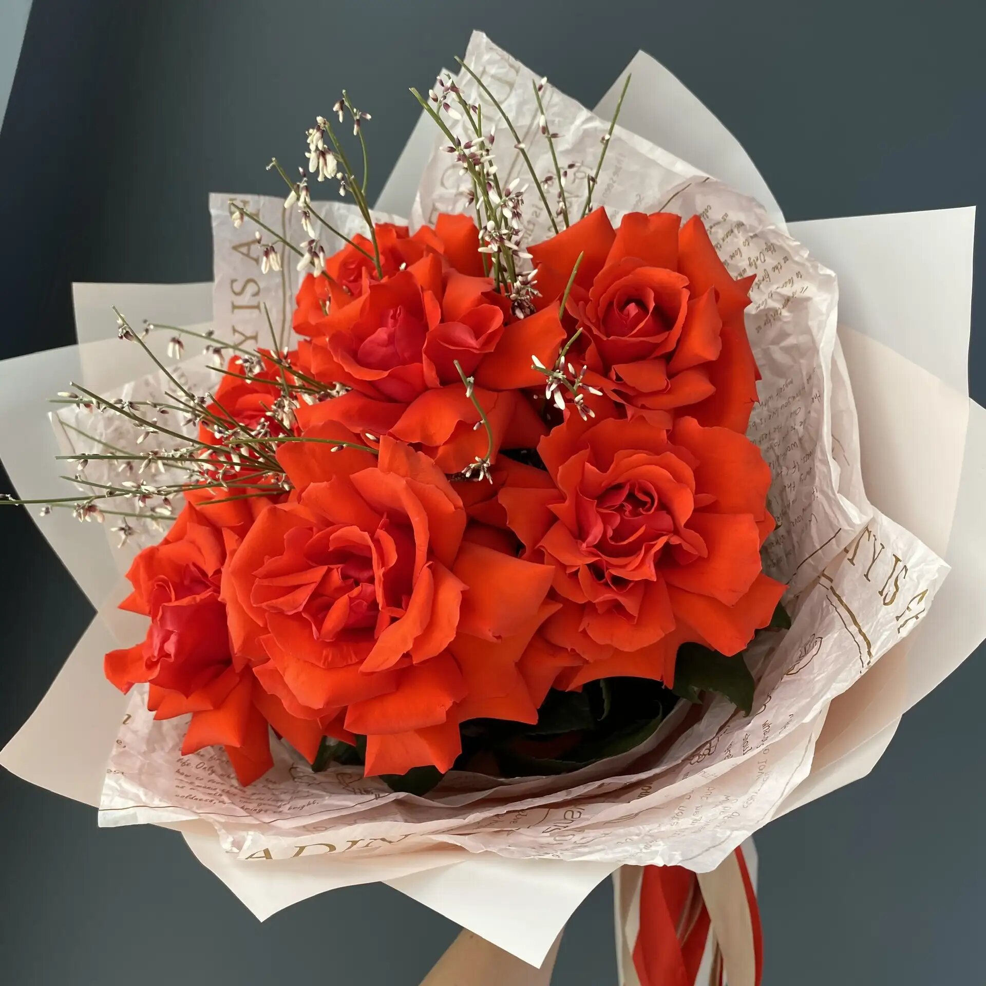 Букет 7 французских алых роз и ароматная гениста в стильной упаковке