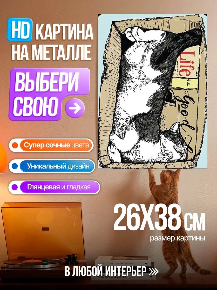 Картина на HD металле кот в коробке