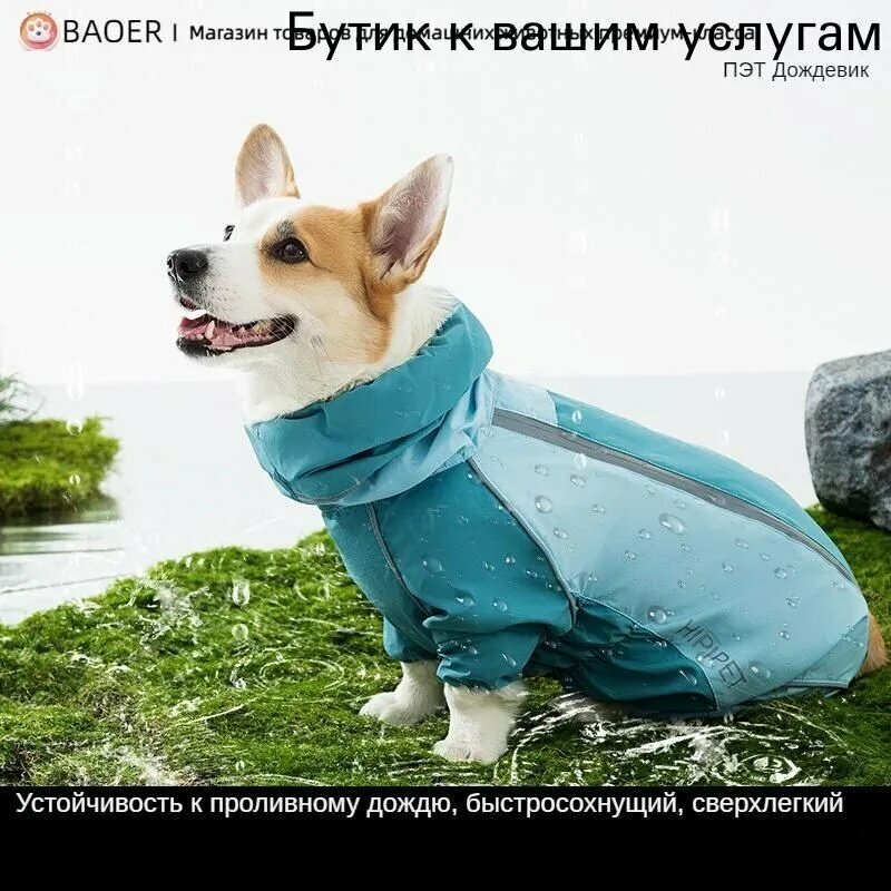 Комбинезон для собак мелких пород Одежда для корги и такс