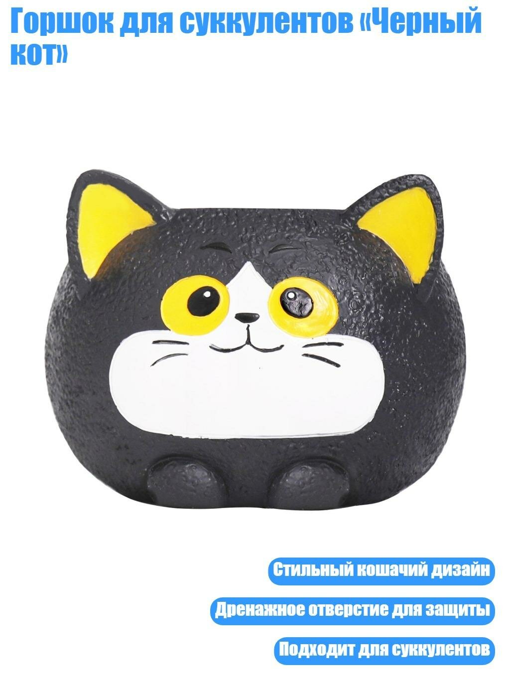 Горшок для суккулентов «Черный кот»