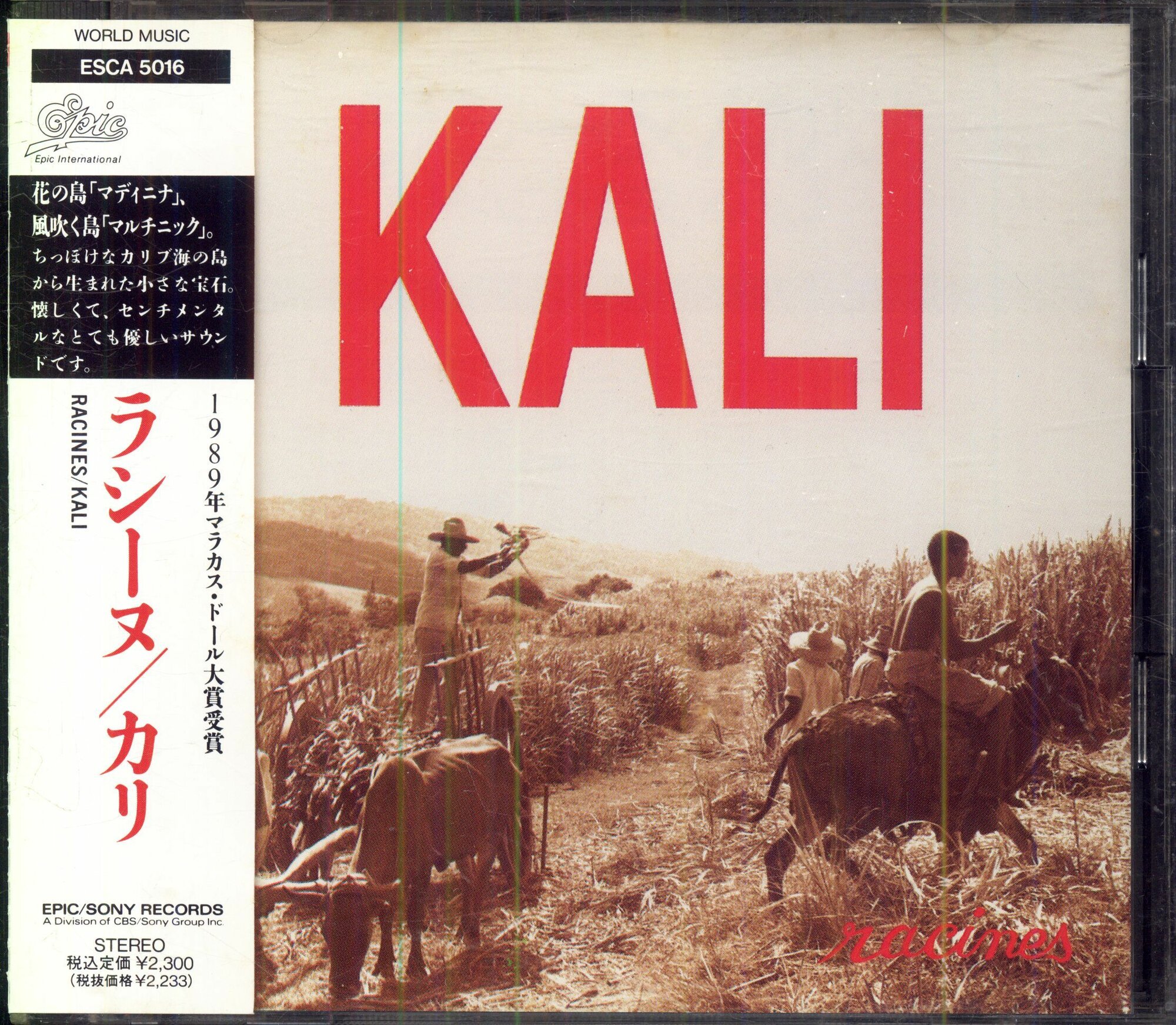 Kali. Racines (Japan, Epic International, ESCA 5016, 1989) CD диск