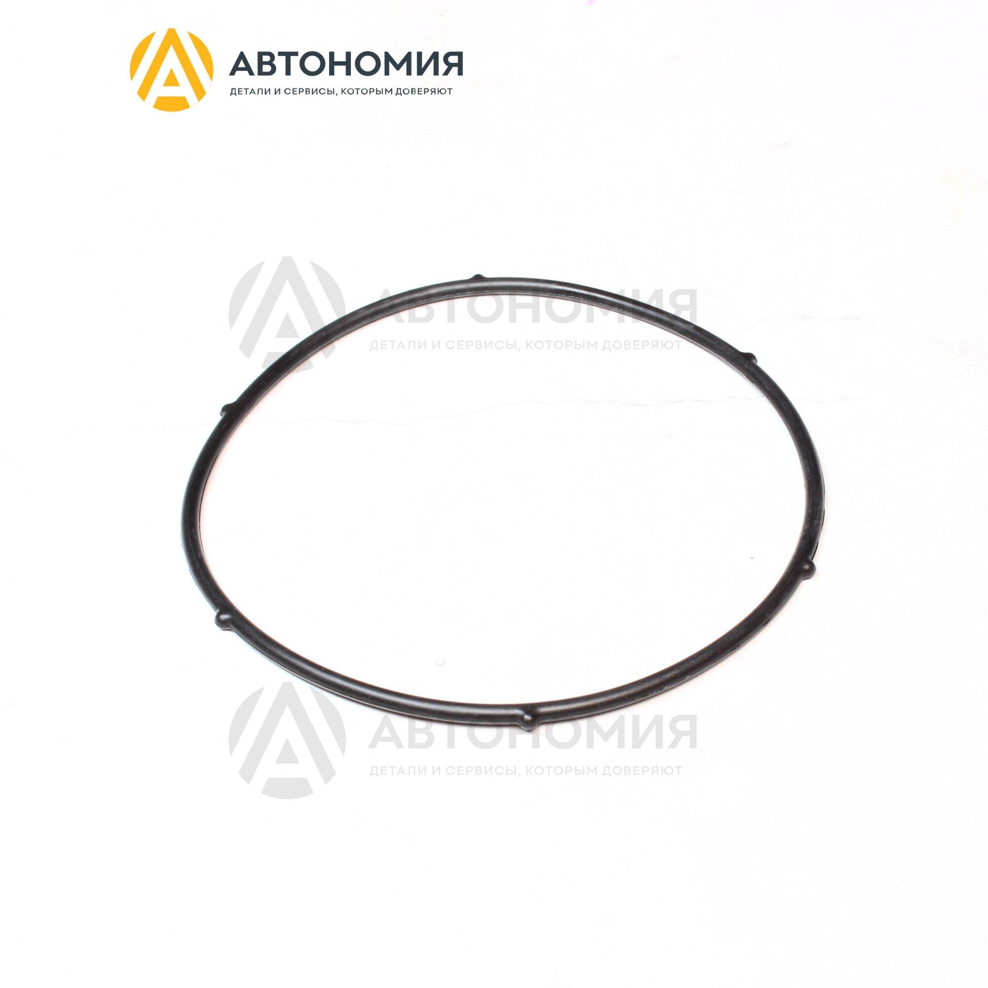 Прокладка электродвигателя EVVT R020, 15 Mazda PE01-12-257