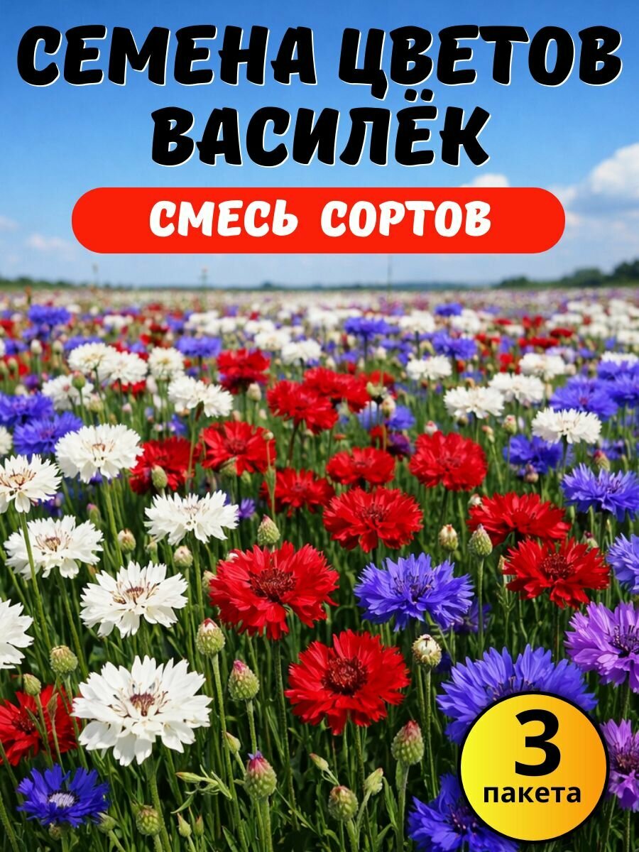 Семена цветов Василек, набор, 3 сорта набор васильков 3 сорта василька