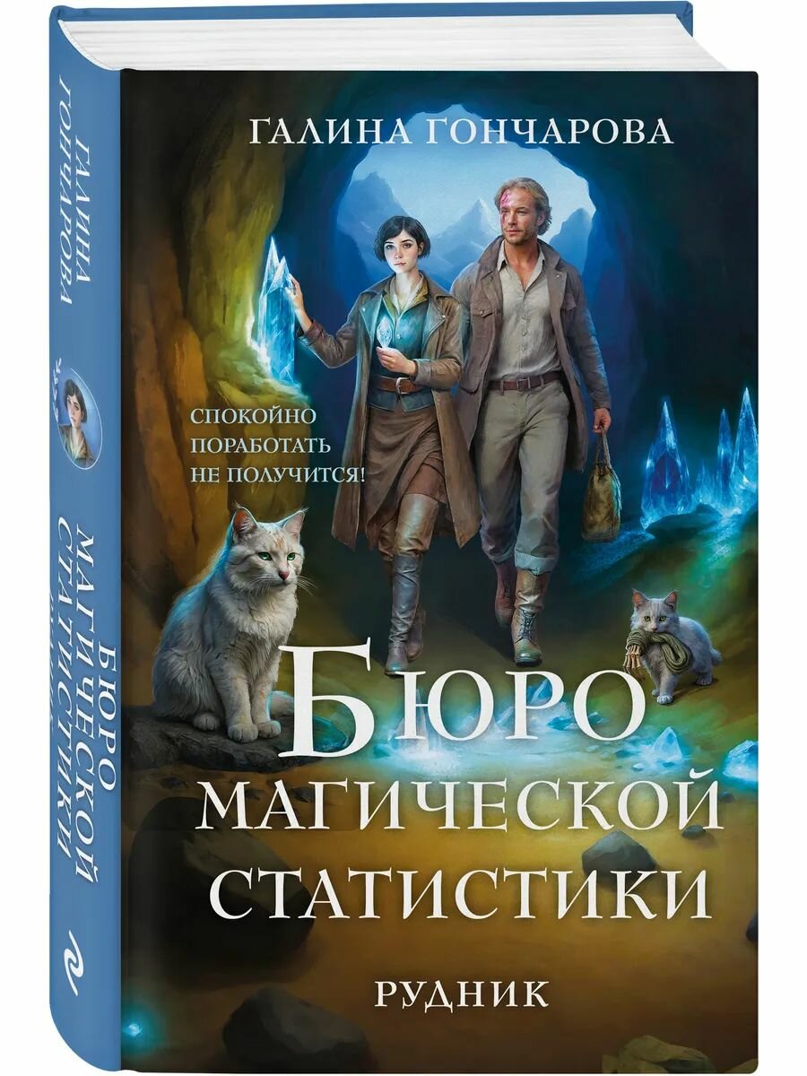 Рудник (Бюро магической статистики #1)