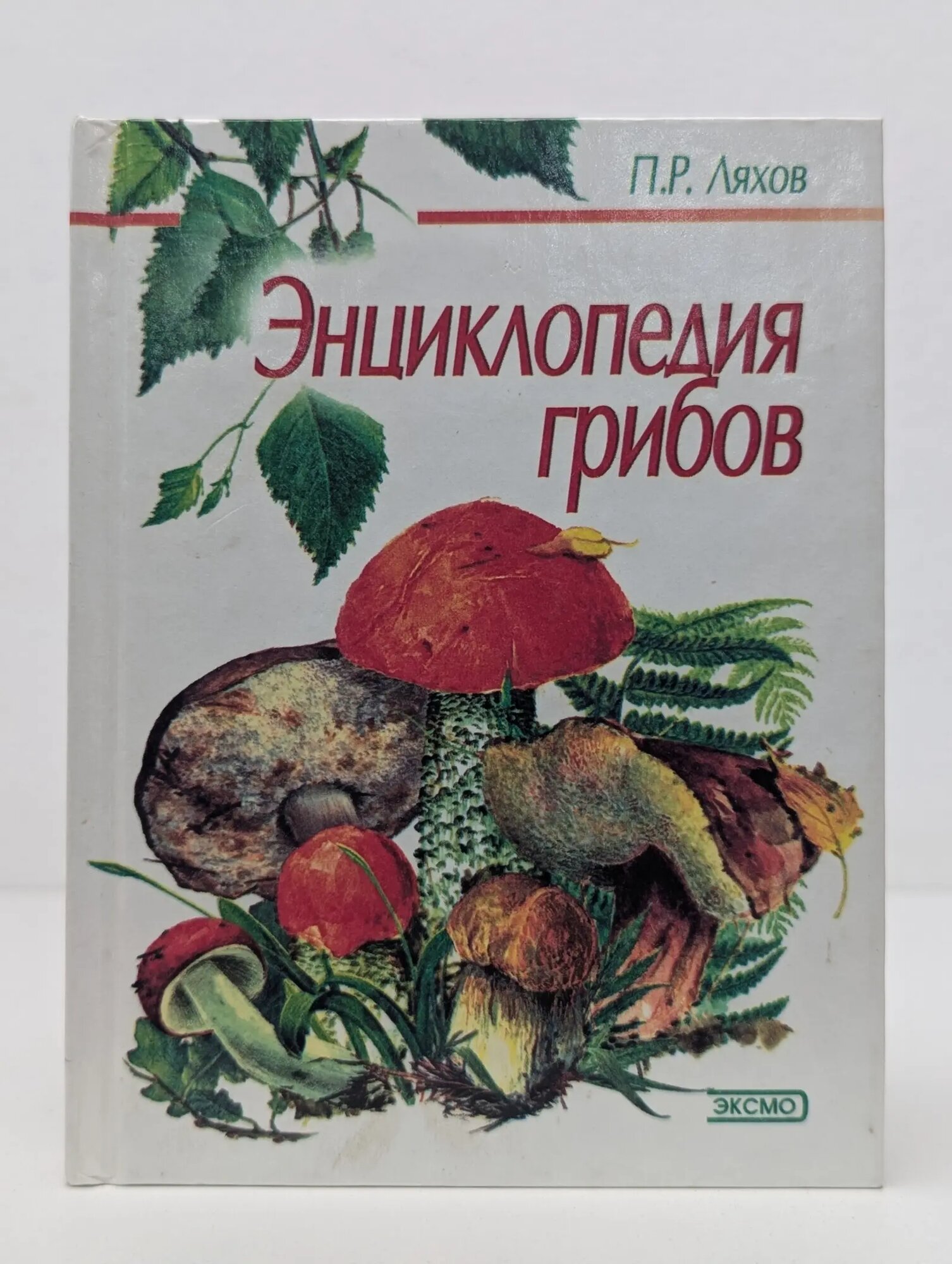 Энциклопедия грибов Ляхов Петр Рубенович 2002