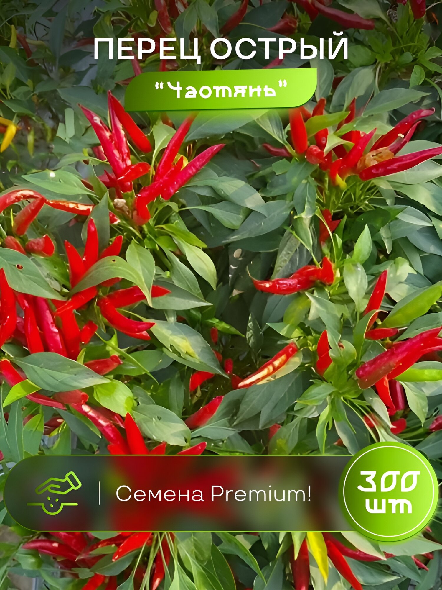 Перец острый чили Чаотянь семена 150 шт. премиум