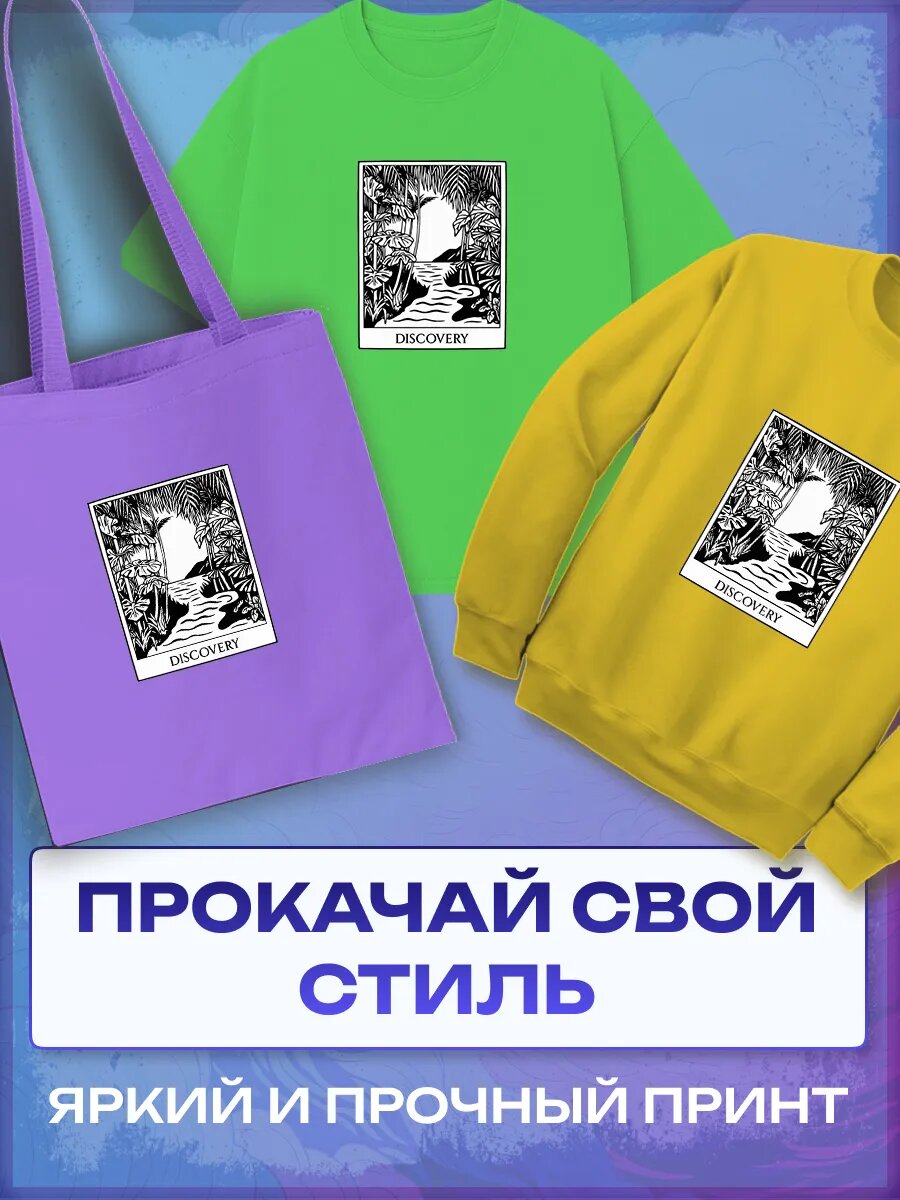 Термонаклейка discovery — фото 1