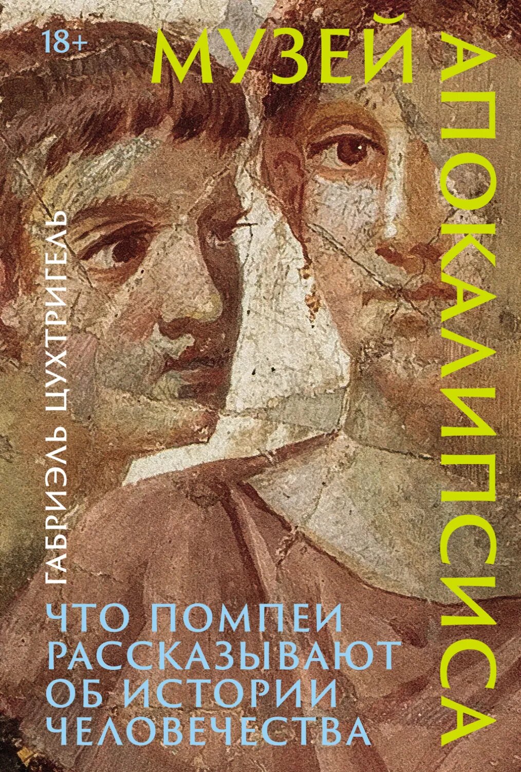 Музей апокалипсиса: Что Помпеи рассказывают об истории человечества [Цифровая книга]