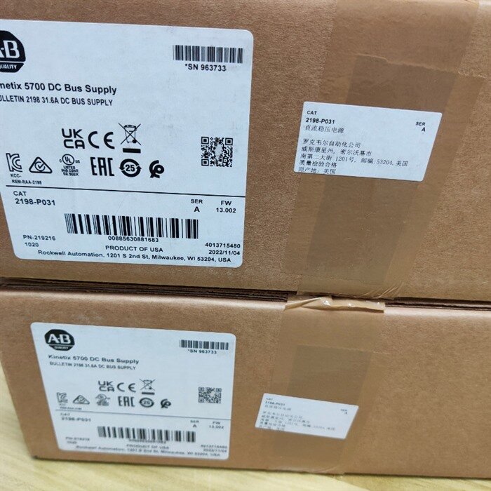Модуль Allen-Bradley 2198-P031