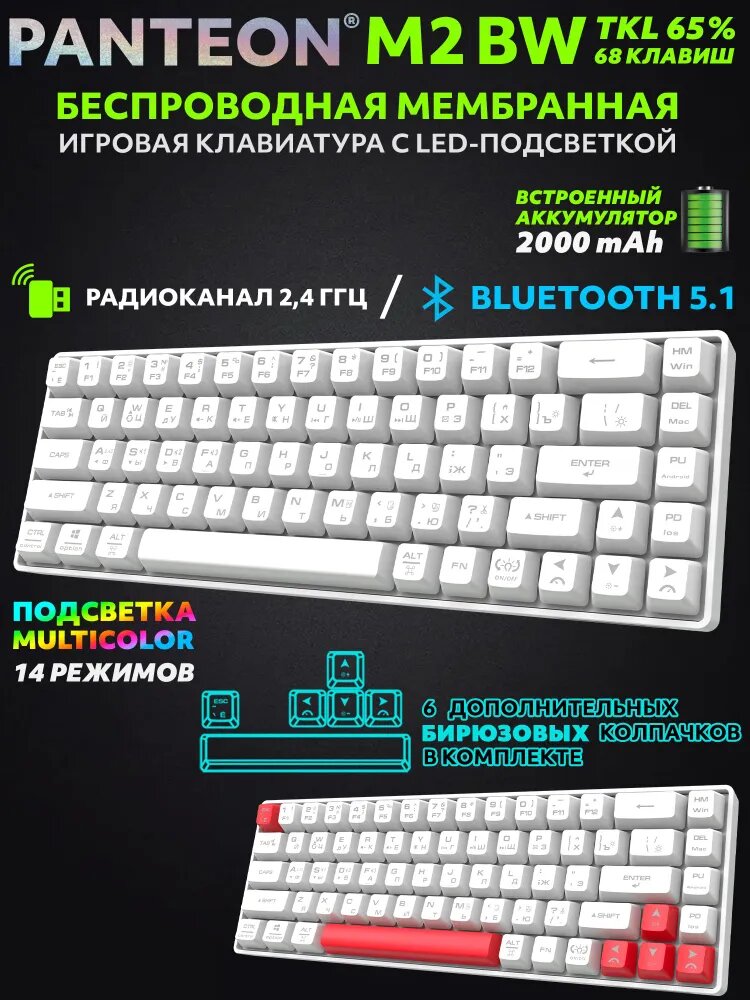 PANTEON M2 BW Dark Grey-Ivory (167) Игровая беспроводная мембранная TKL (65%) клавиатура с LED-подсветкой MULTICOLOR, цвет: серый-слоновая кость
