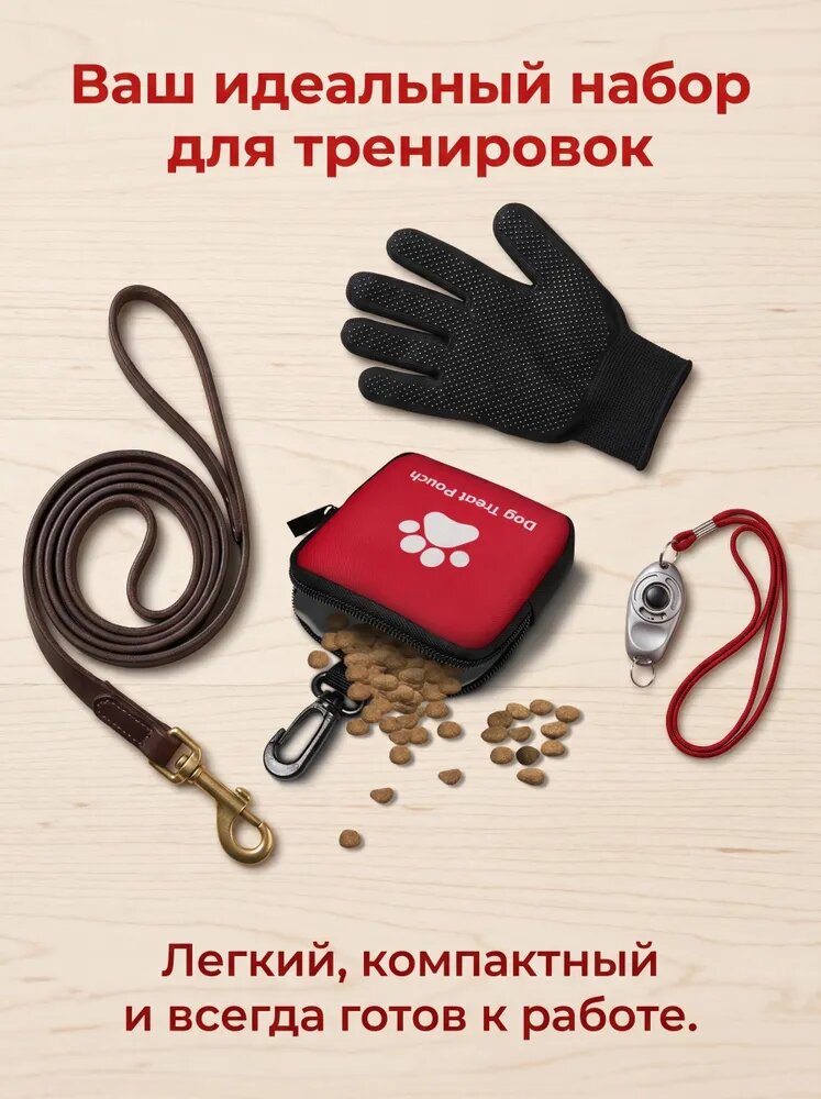 Сумка для собачьих лакомств, водонепроницаемая, с принтом лапок. На молнии, лёгкая. Всё помещается: корм, пакеты, кликер.