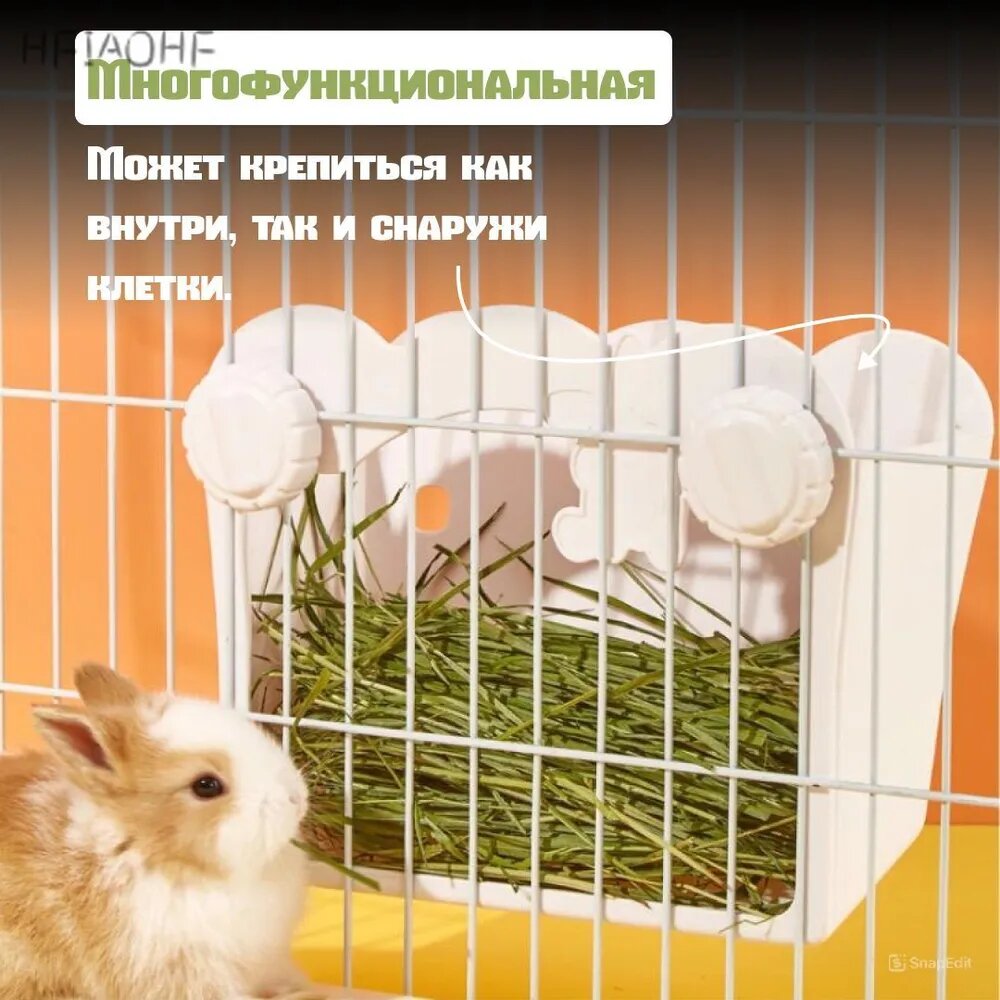 Миска для питомца — фото 1