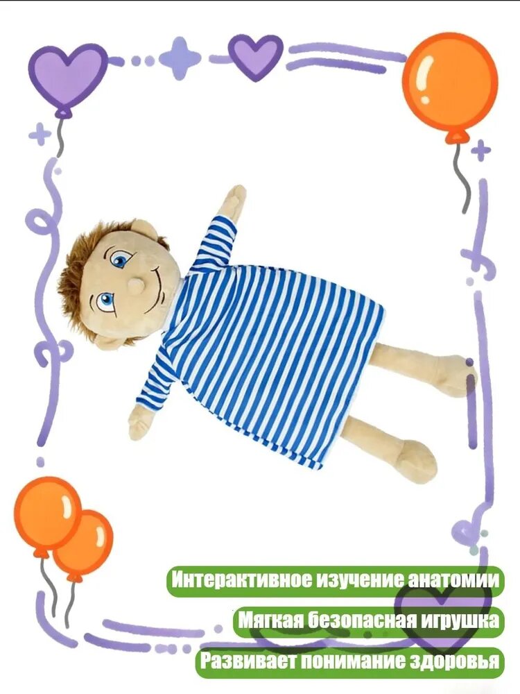 Игрушка для познания органов человека для научных центров, музеев и образовательных учреждений для малышей, - Мужской стиль