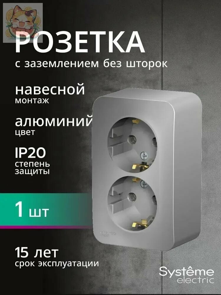 Розетка двухместная с заземлением алюминий Blanca, 1 шт