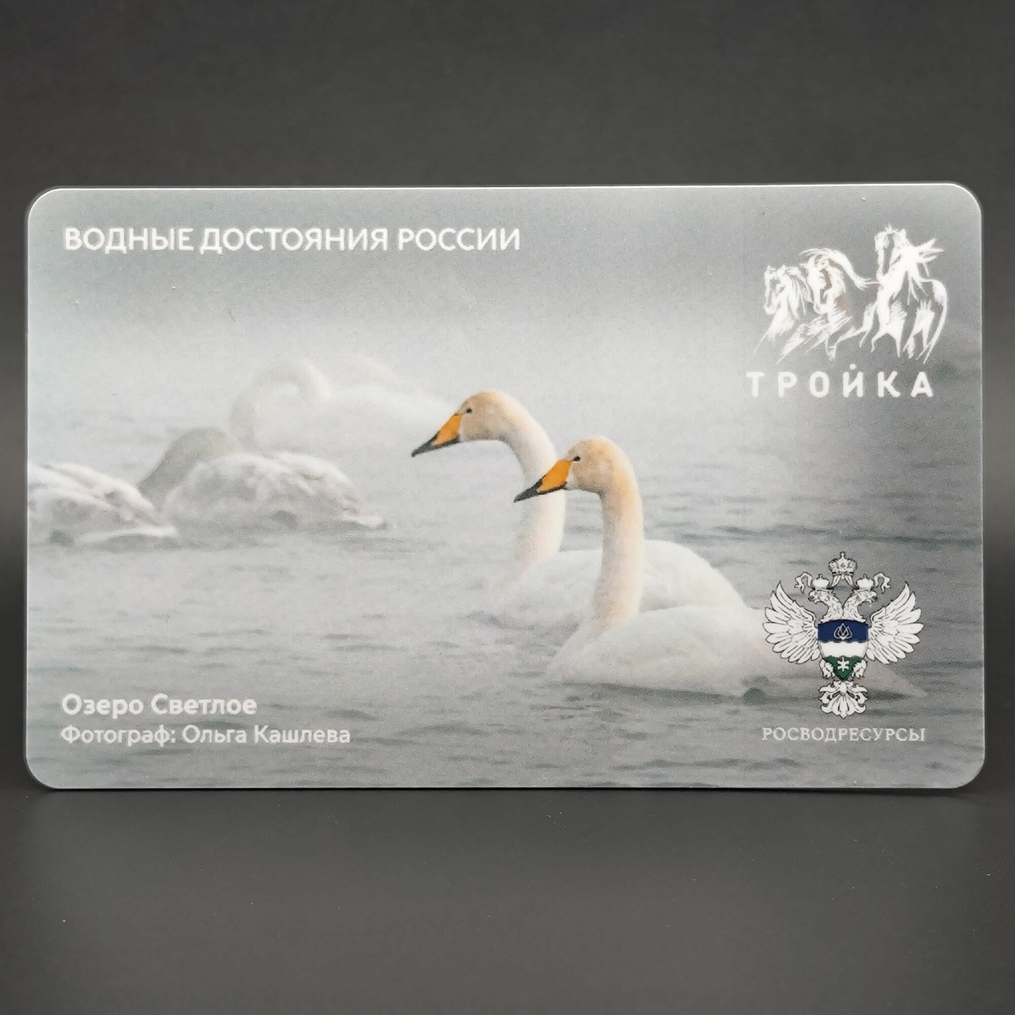 Карта Тройка - Озеро Светлое. Водные ресурсы России. Лебеди