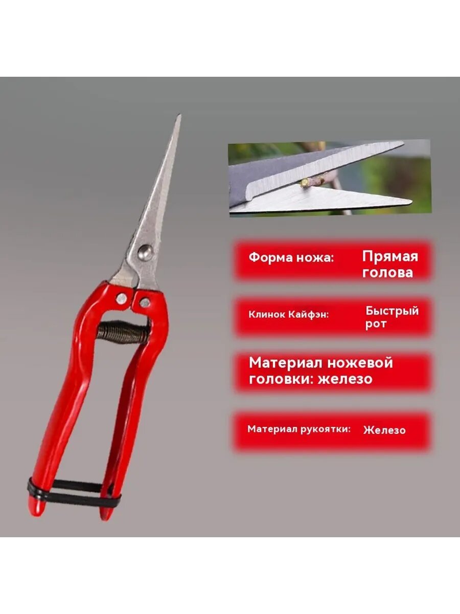 Ножницы для сбора фруктов