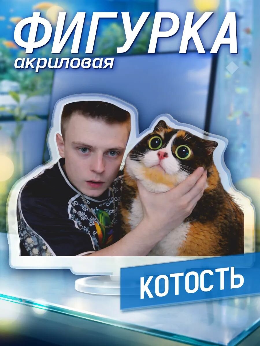 Акриловая фигурка котики Котость Мелстрой Мем
