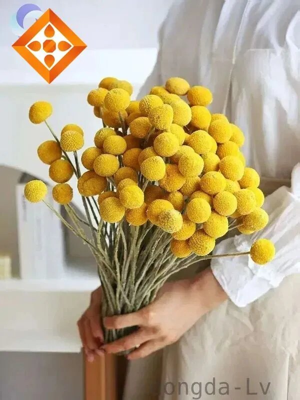 Сухоцветы, 42 см, 160 гр, 20 шт