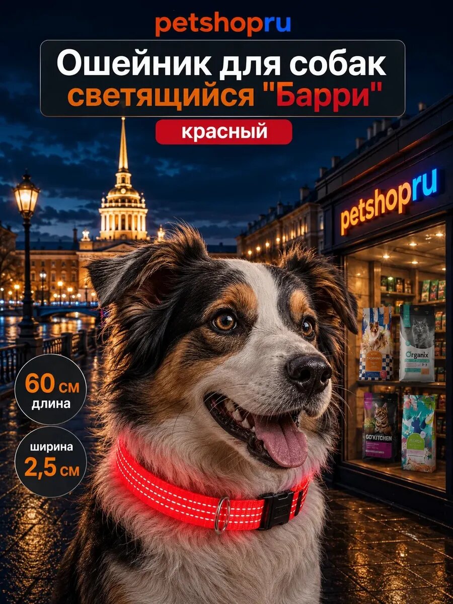 Tappi Светящийся ошейник "Барри", L