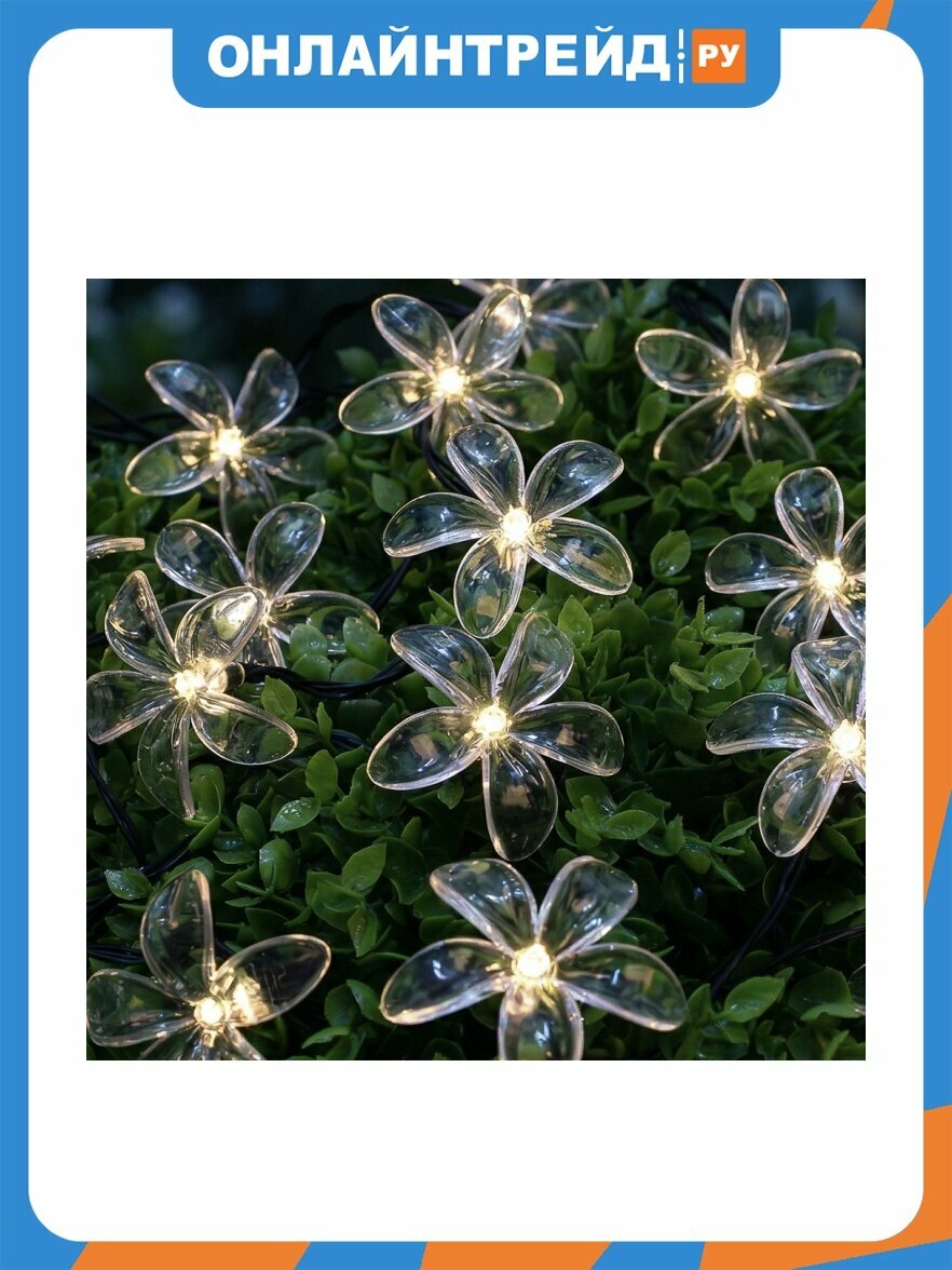 Гирлянда Inbloom на солнечной батарее, 25LED, 7м, шампань, 2 реж, цветок, ПВХ зел, 2V80mA, 1.2V600mAh, 185-043