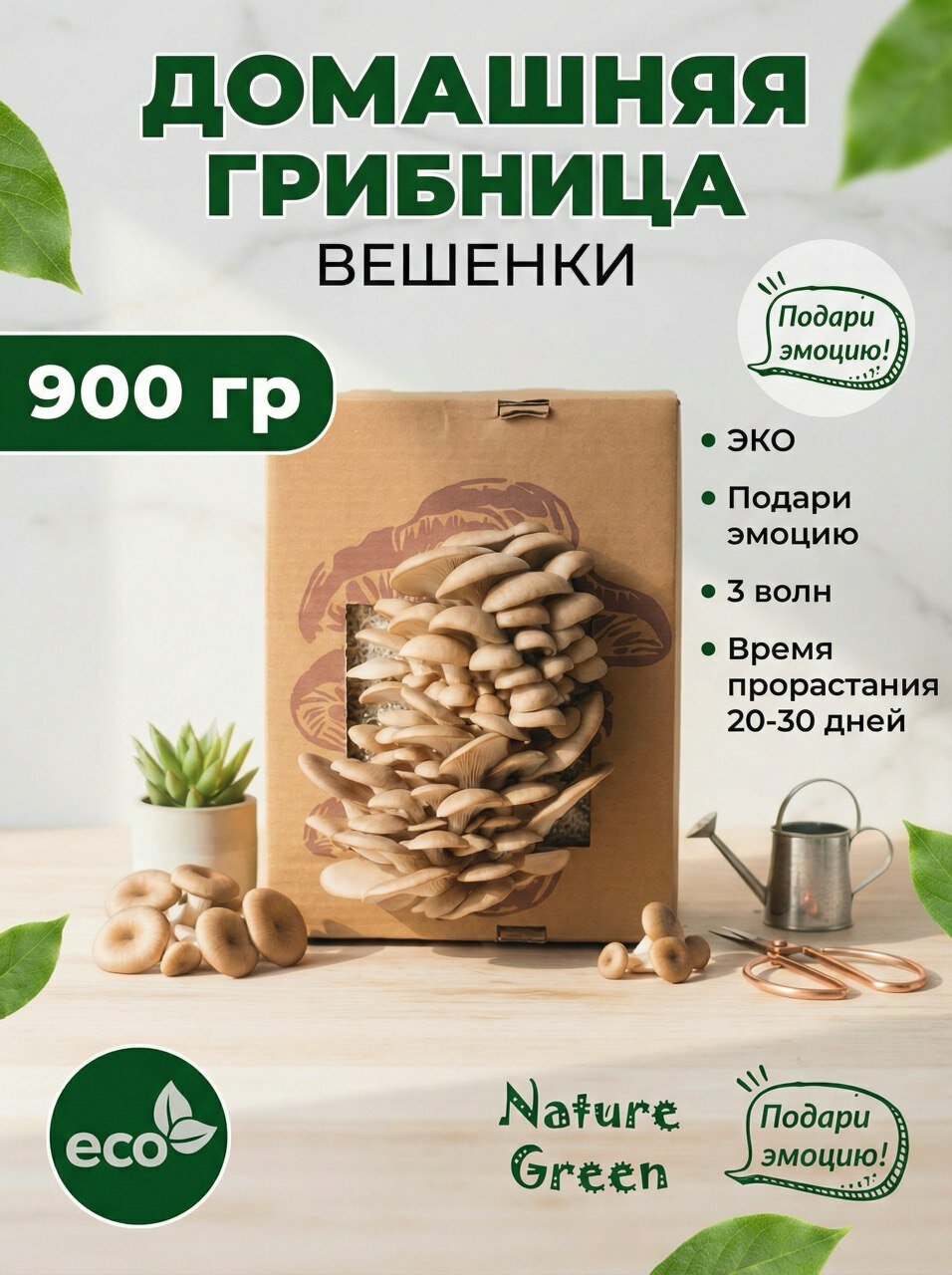 Набор для выращивания грибов/ Домашняя грибница для дома, балкона, семена домашняя грибница выращивание на балконе семена грибов
