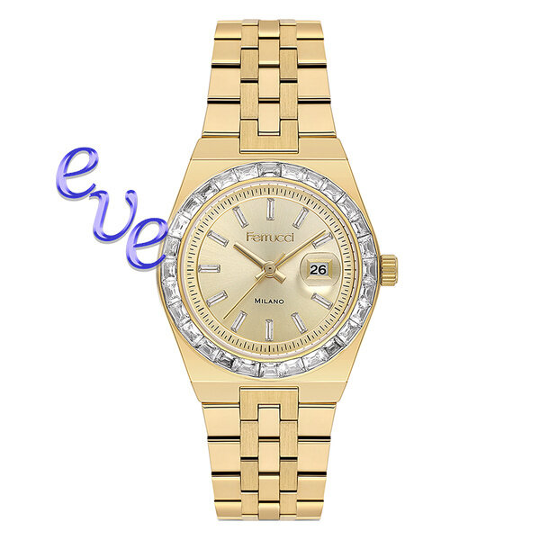 Наручные часы Ferrucci 3704-04
