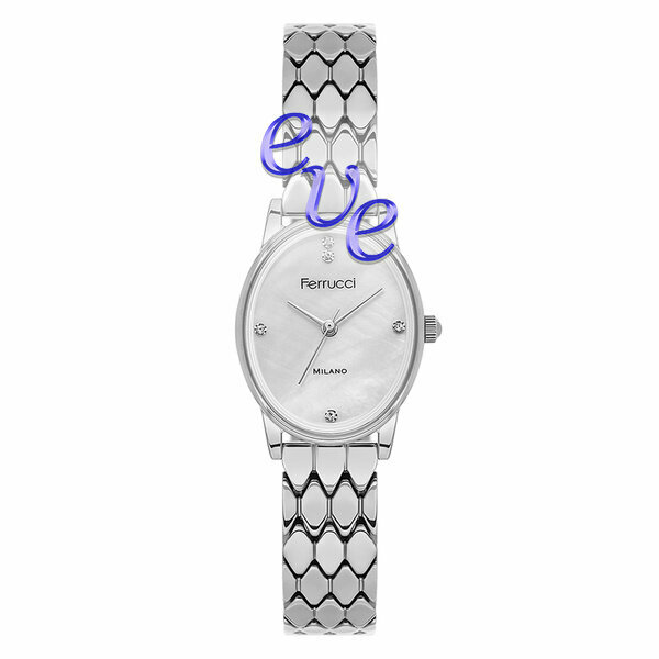 Наручные часы Ferrucci 3685-01