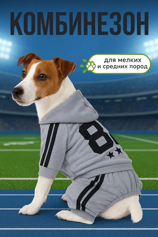 Одежда для животных