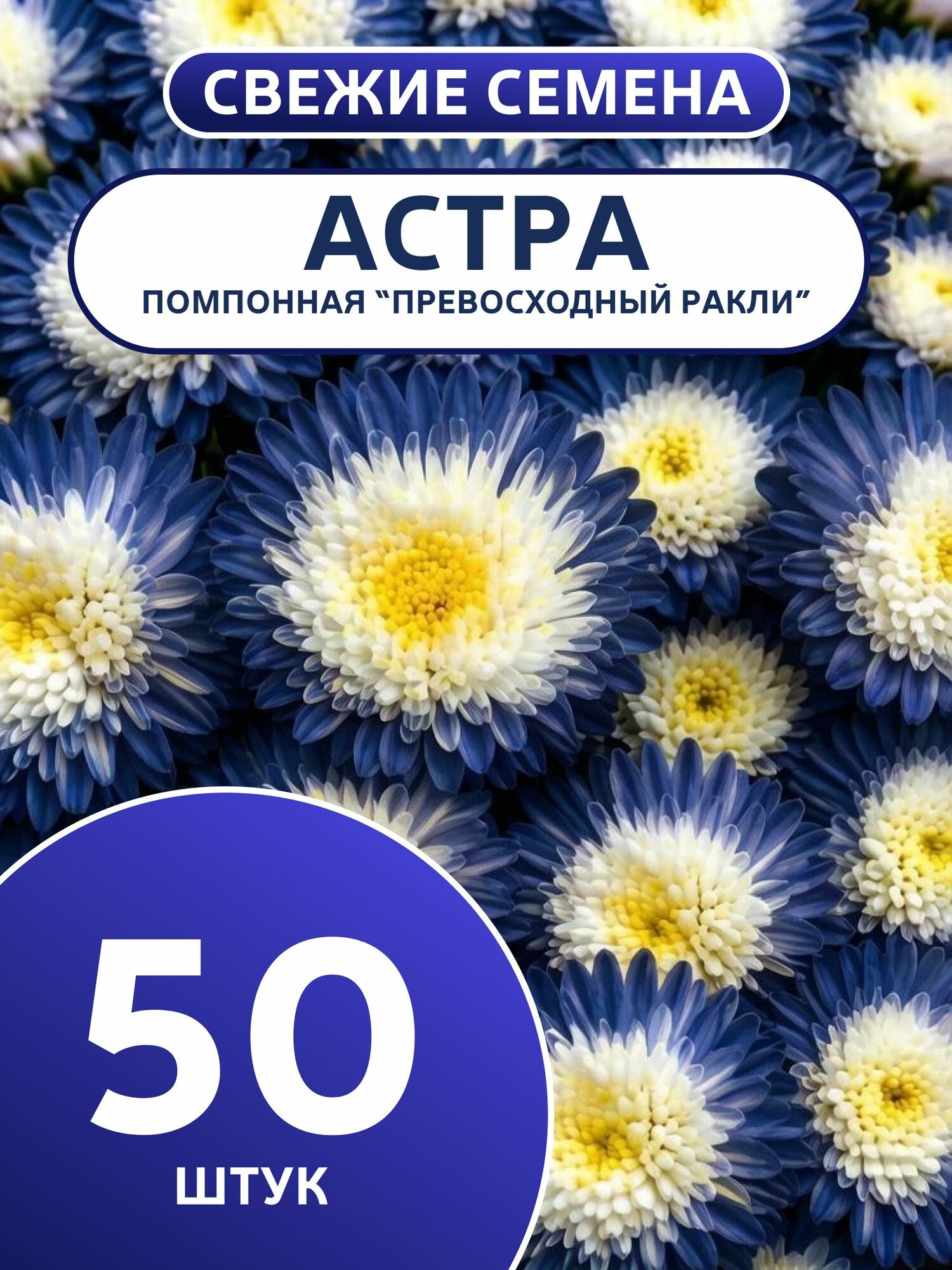 Астра помпонная семена для выращивания 50 шт
