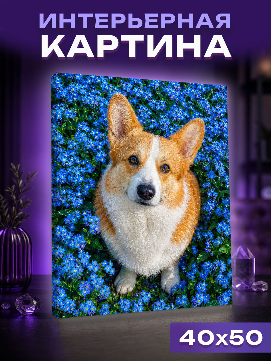 Интерьерная картина Корги на ковре из лесных незабудок