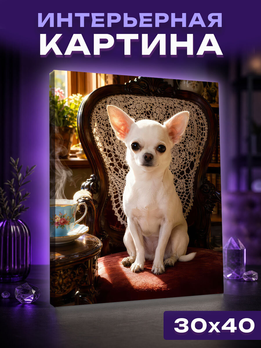 Интерьерная картина Чихуахуа в кресле под кружевной салфеткой
